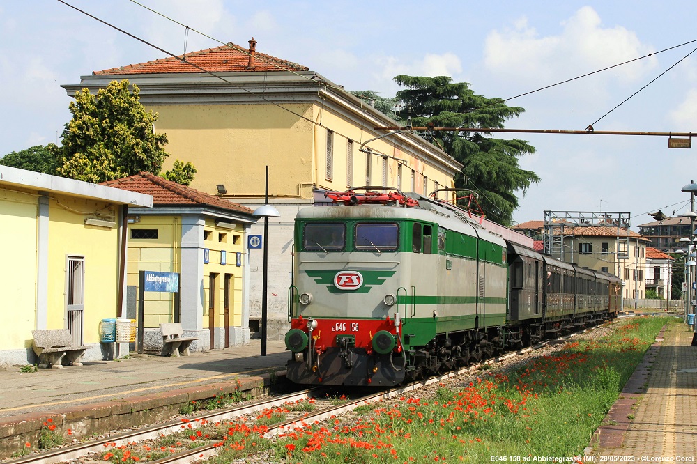 E646 – LIVREA GRIGIO PERLA / VERDE MAGNOLIA | Passione Trasporti
